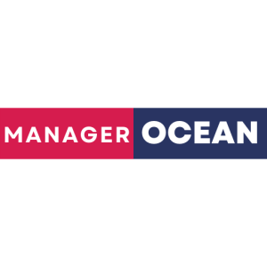 Analyse SWOT Vinted 2024, Diagnostic stratégique de Vinted